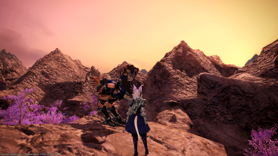 [Chocobo Armor] Deepshadow Barding | EkottMie