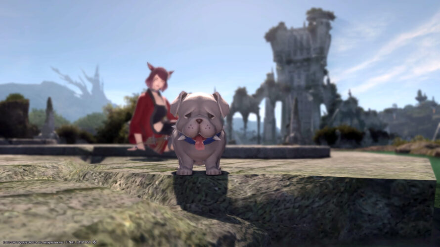 [ミニオン]ブルパピーの入手方法 | EkottMie