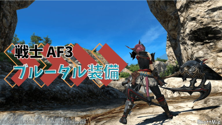 戦士のAF3装備の見た目 | EkottMie